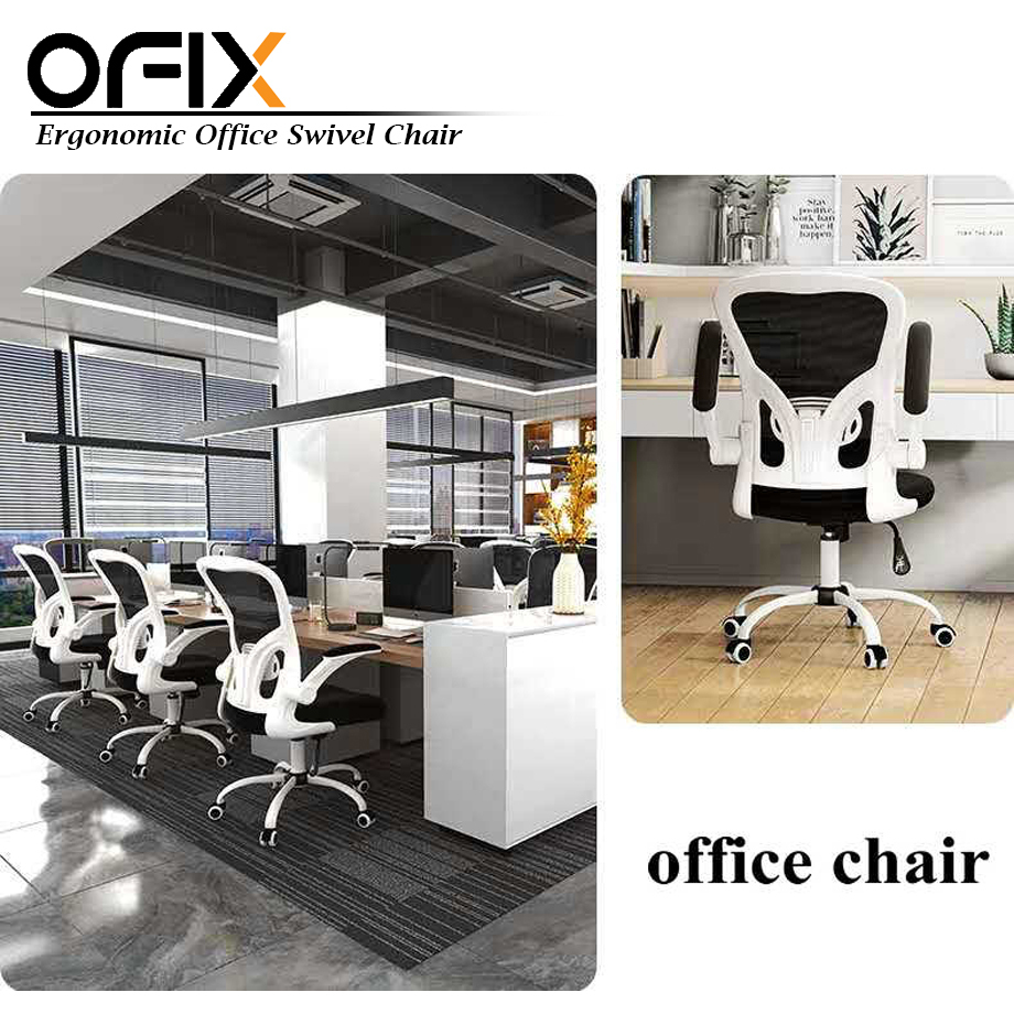 Ofix Premium-30/ 31 Mesh Chair (Black, Pink+White, Blue+White, Purple ...
