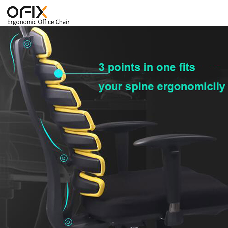 Ofix Deluxe-20 Bionic Back Office Chair (Black)