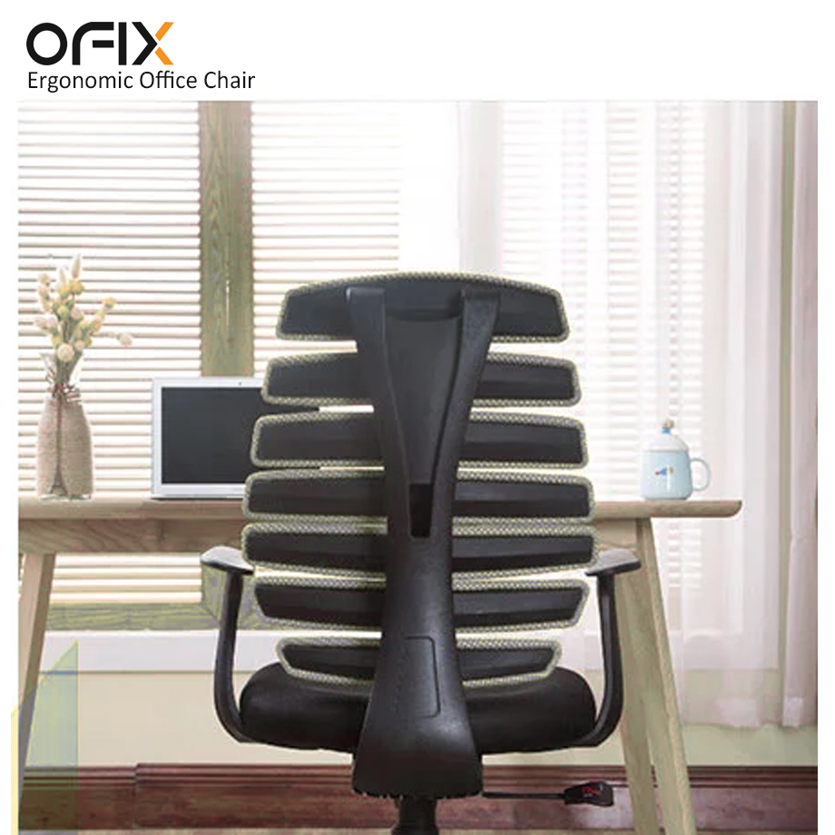 Ofix Deluxe-20 Bionic Back Office Chair (Black)