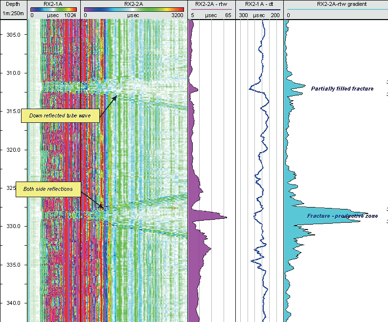 WellCAD Full Waveform Sonic (FWS) Processing Module