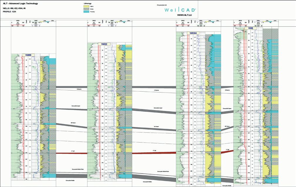 WellCAD Multi-Well Correlation Module
