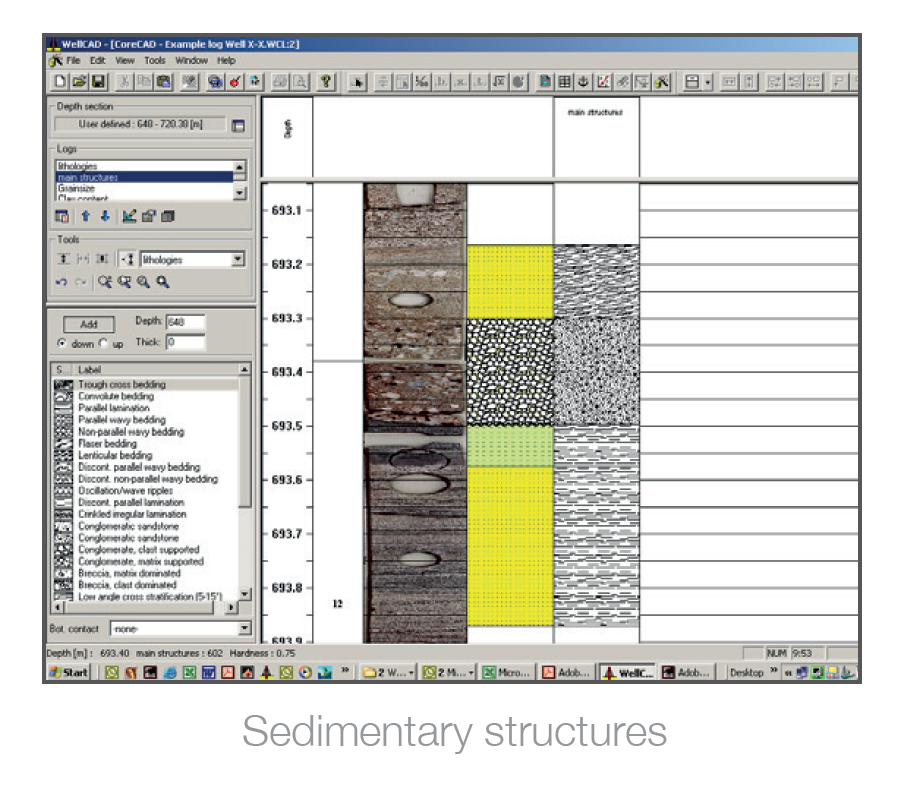WellCAD CoreCAD Digital Core Description Module