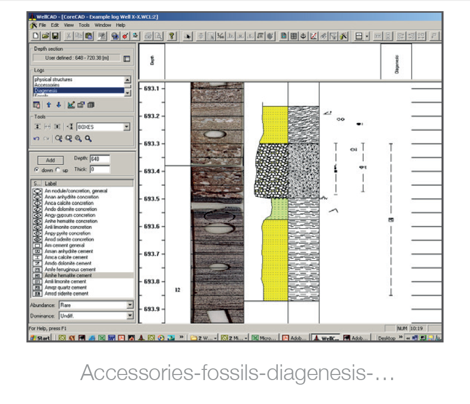 WellCAD CoreCAD Digital Core Description Module