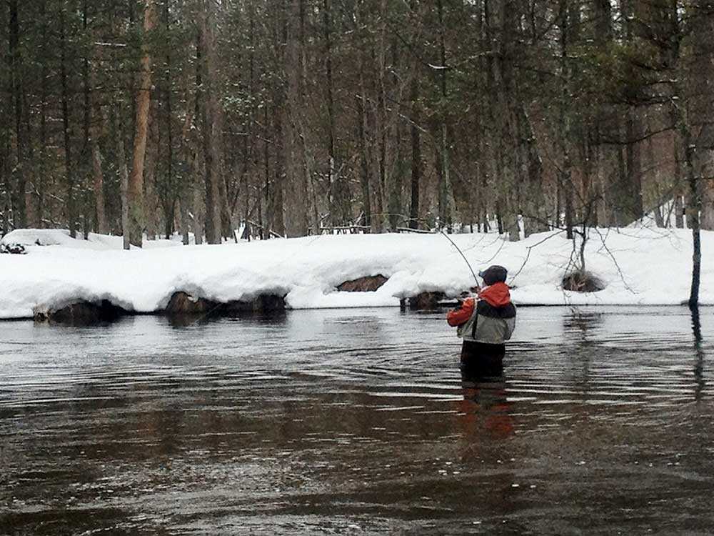 From The Field: Steelhead Fishing In Michigan | GearJunkie