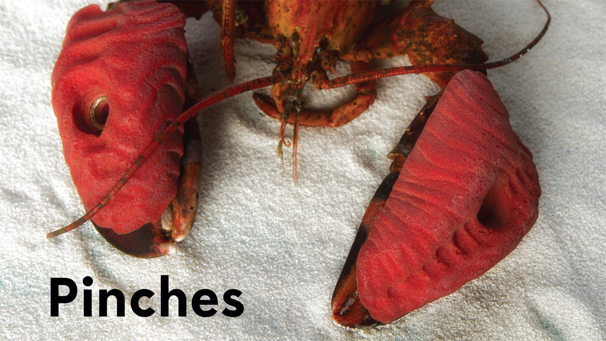 Jugs To Slopers: Common Rock Climbing Holds, Explained | GearJunkie