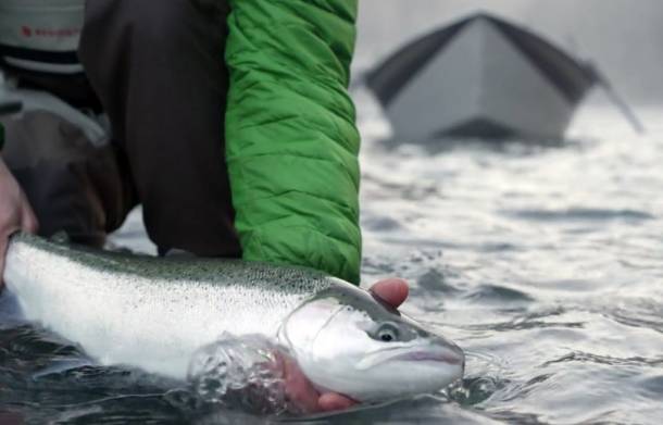 Steelhead Fishing The Pacific Northwest | GearJunkie