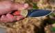 The Best Hunting Knives for Any Budget | GearJunkie