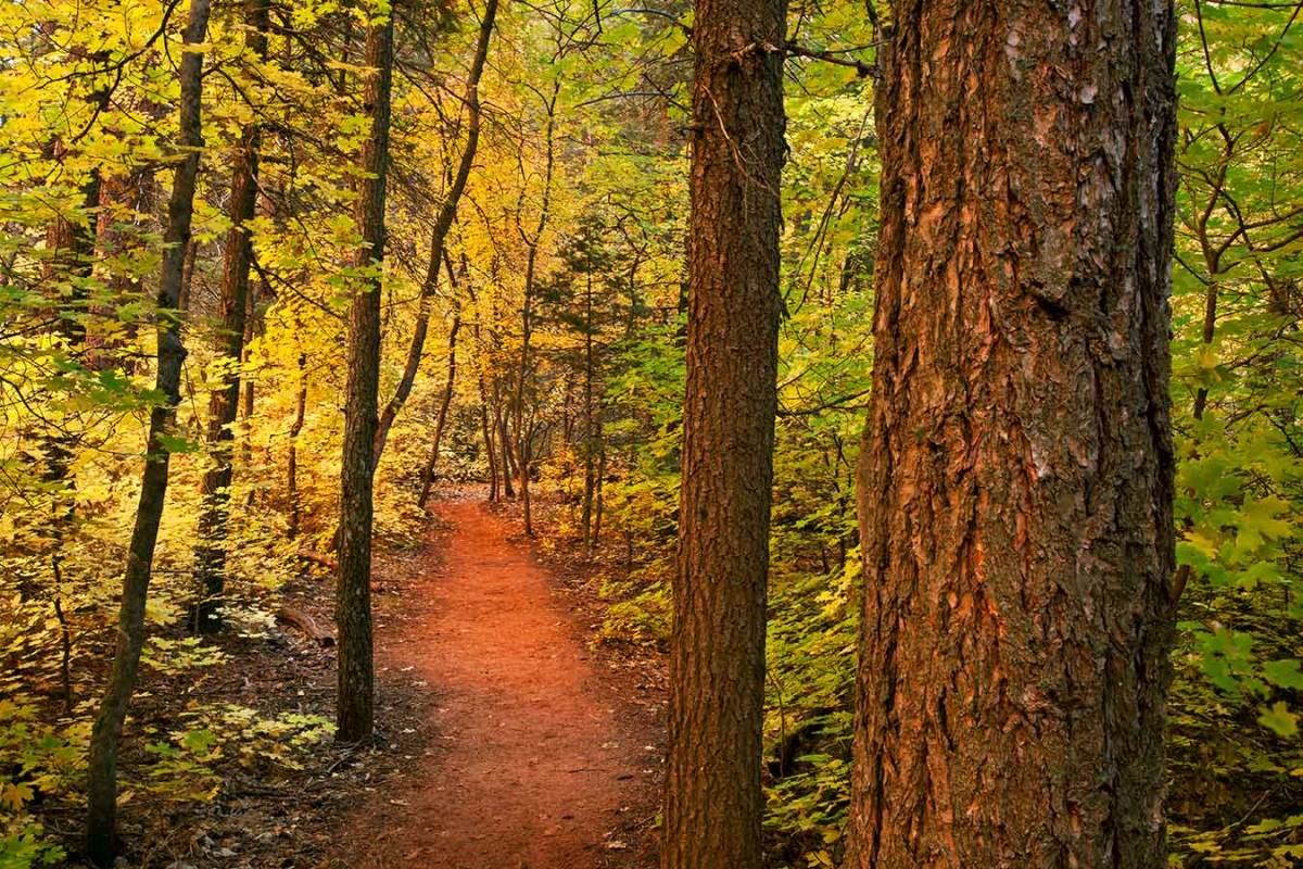 Best Fall Colors? Head To The Desert Southwest | GearJunkie