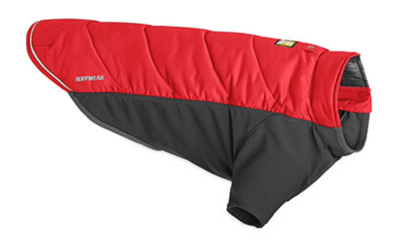 The Comprehensive Gear Guide for Your Adventure Dog | GearJunkie