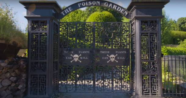 Outdoor | Page 79 of 95 | GearJunkie