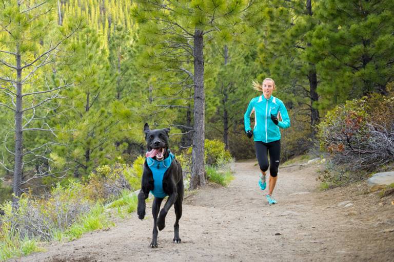 10 Rules for Running With Your Dog | GearJunkie