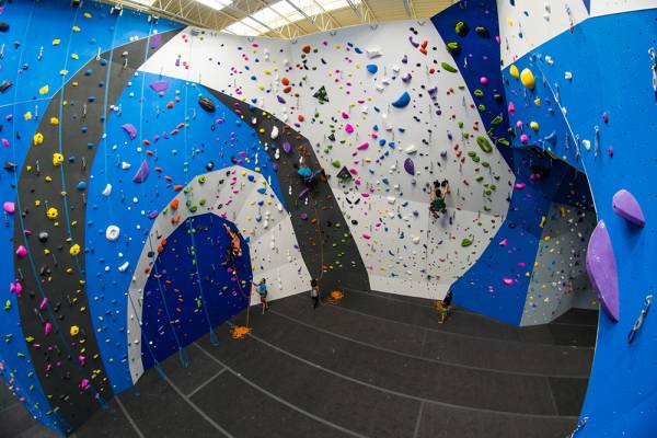 First Unionized Climbing Gym: Movement Crystal City Breaks New Ground
