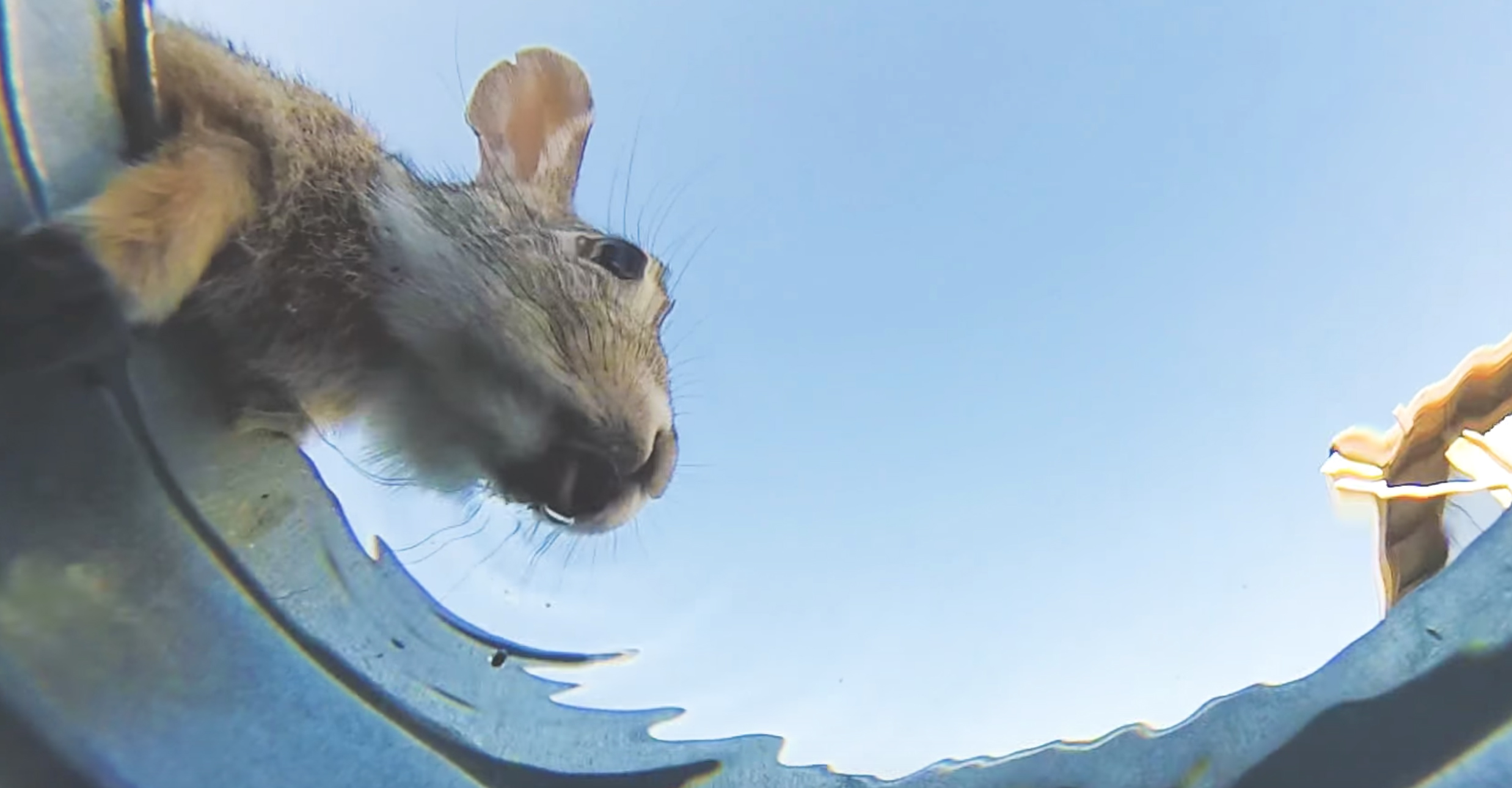 Everybody's Thirsty! View From The Bottom Of The Water Bucket | GearJunkie