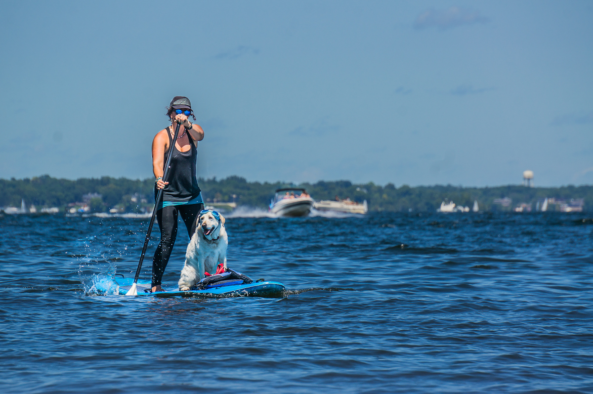 Doggy Paddle: Tips to SUP With Your Pup | GearJunkie