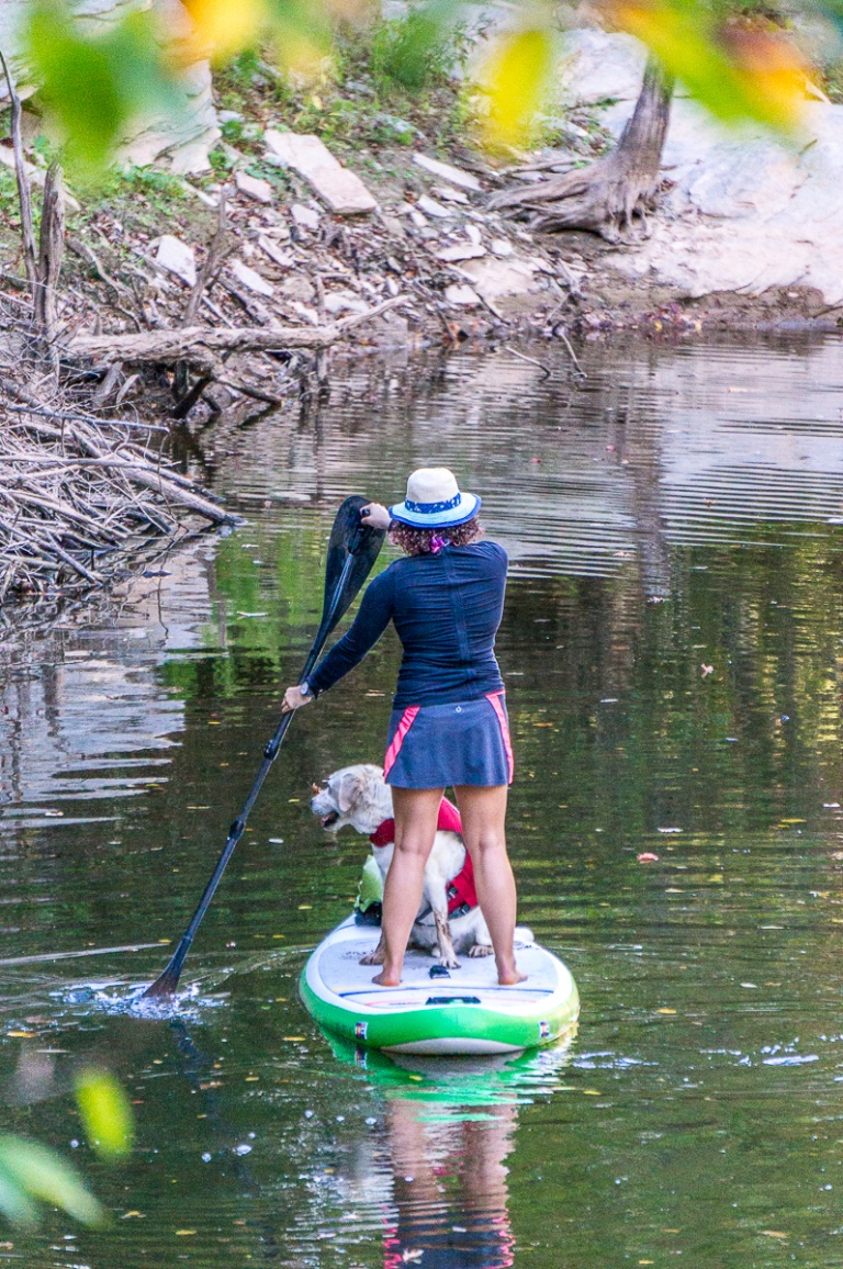 Doggy Paddle: Tips to SUP With Your Pup | GearJunkie