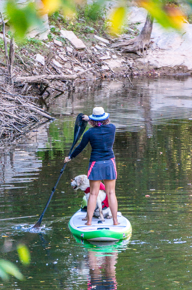 Doggy Paddle: Tips to SUP With Your Pup | GearJunkie