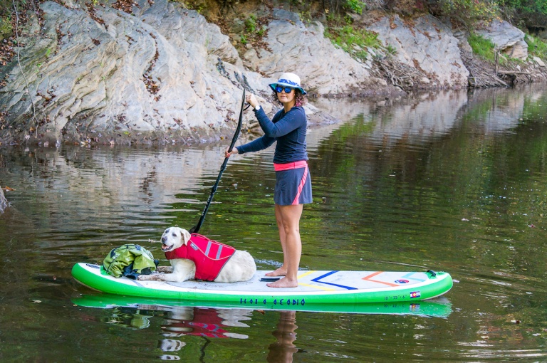 Doggy Paddle: Tips to SUP With Your Pup | GearJunkie