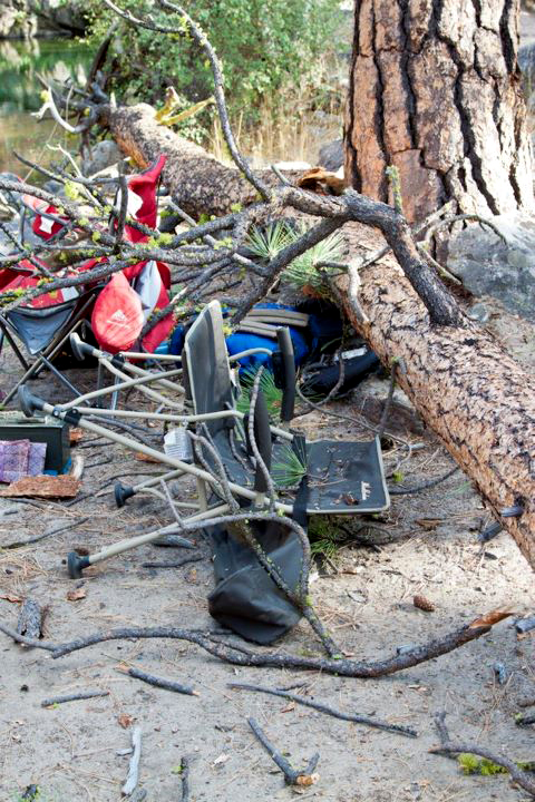 Outdoor Hazards: Falling Branches | GearJunkie