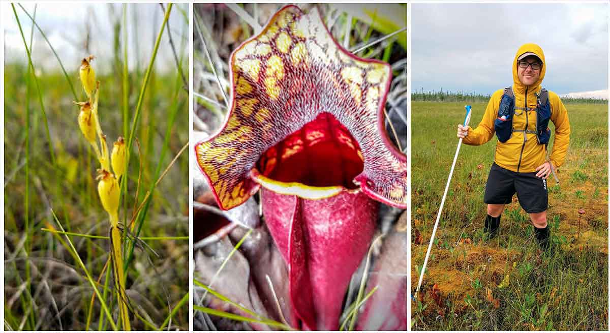The Great Bog Walk: Red Lake Peatland Crossing | GearJunkie