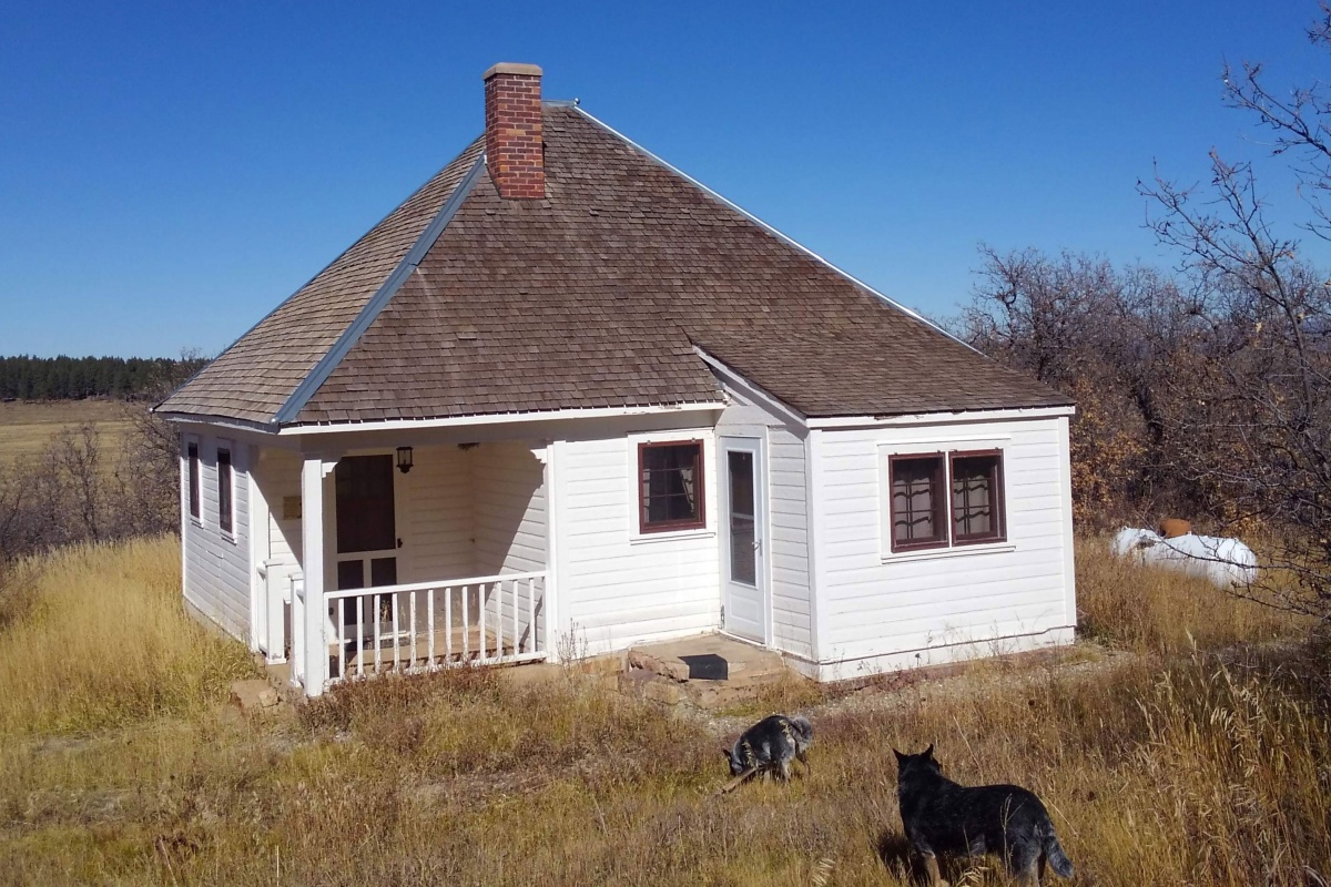 Dream Job: Applicant Sought to Live in Quiet Cabins in the Woods ...