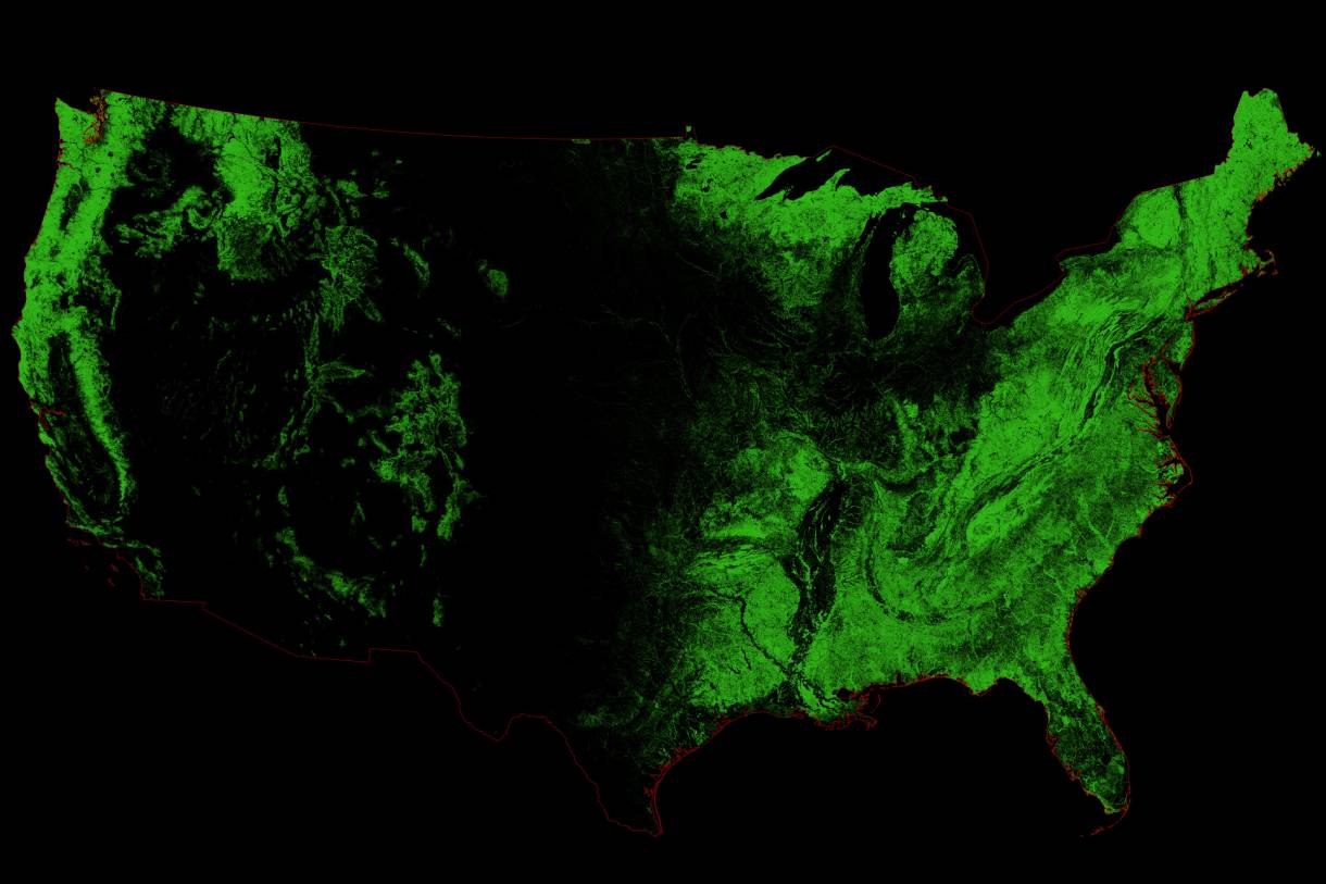 If There Were Only Trees: Maps Show World's Forests | GearJunkie