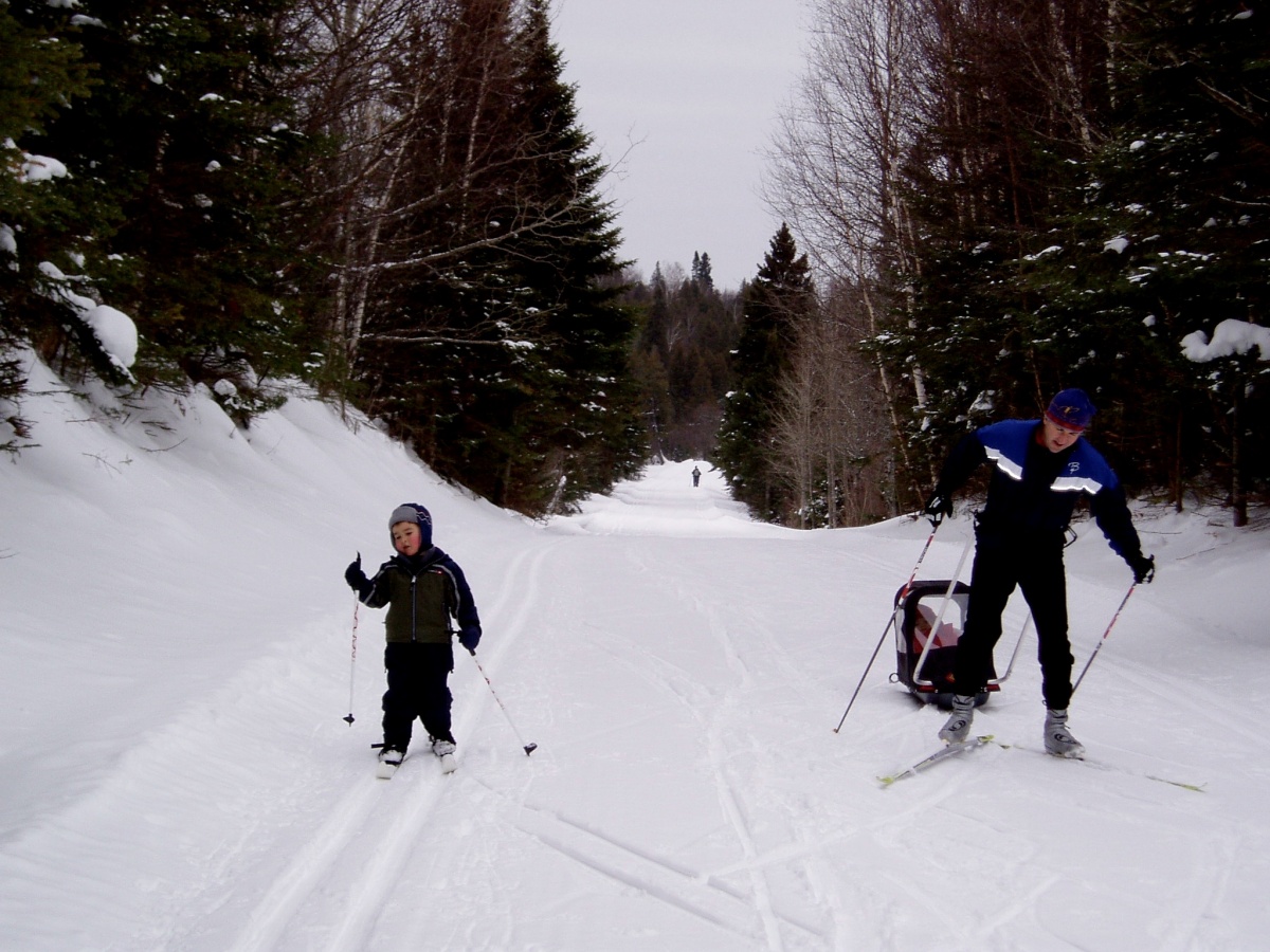 Tow Your Kids While Cross-Country Skiing: Pulk 101 | GearJunkie