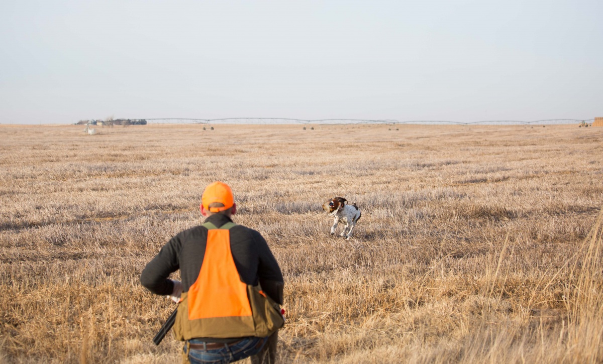 Filson Single Tin Chaps Reviewed: 37 Years in the Field