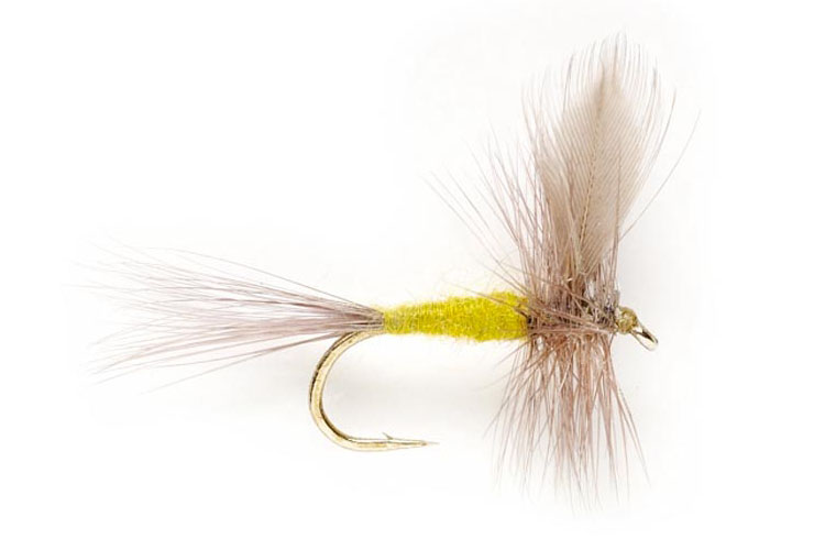 9 Must-Have Trout Flies for Spring Fly Fishing | GearJunkie