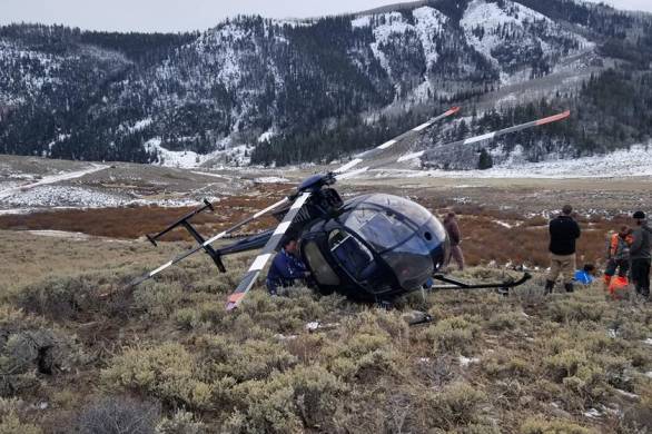 Elk Leaps Into Tail Rotor, Takes Down Helicopter | GearJunkie
