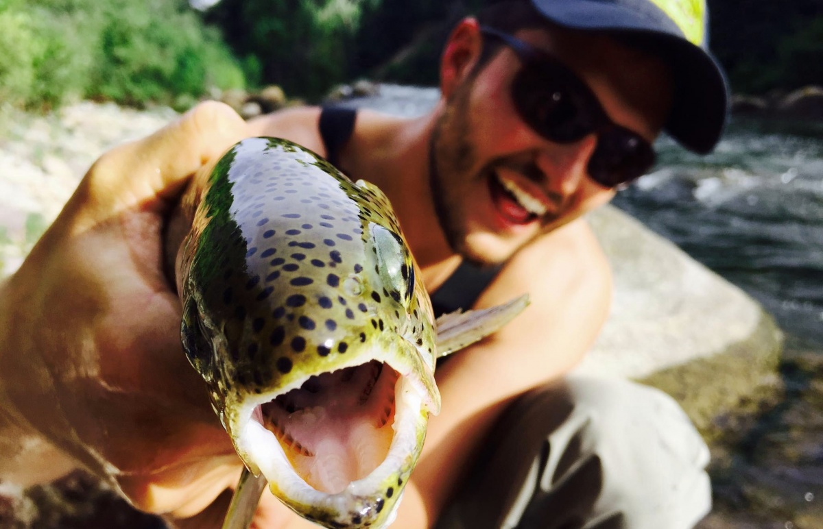 9 Must-Have Trout Flies for Spring Fly Fishing Conditions