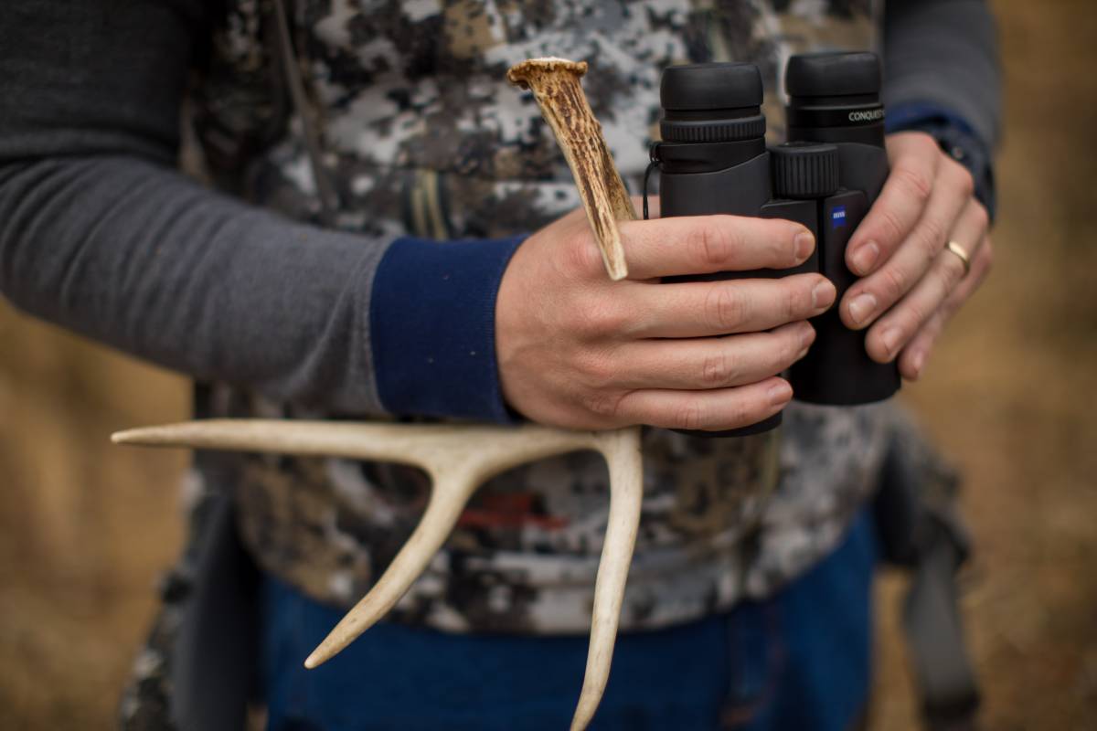 A Beginners Guide for Shed Hunting