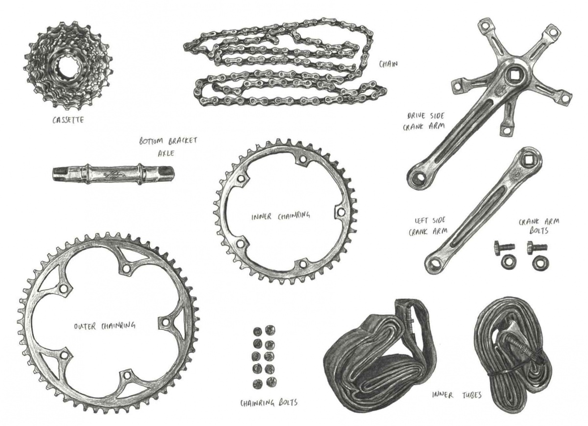 'Anatomy of Cycling' Art Revives Retro Bike Culture | GearJunkie