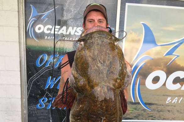 Walmart Rod Lands Record-Breaking Catfish | GearJunkie
