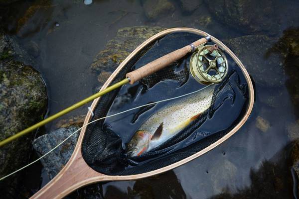 What's on Your Reel? Fly Line and Backing Explained | GearJunkie