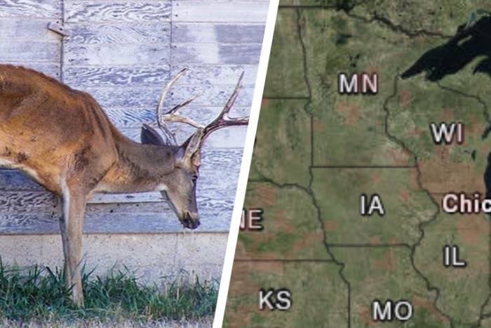 Chronic Wasting Mapped: onX CWD Map Layer | GearJunkie