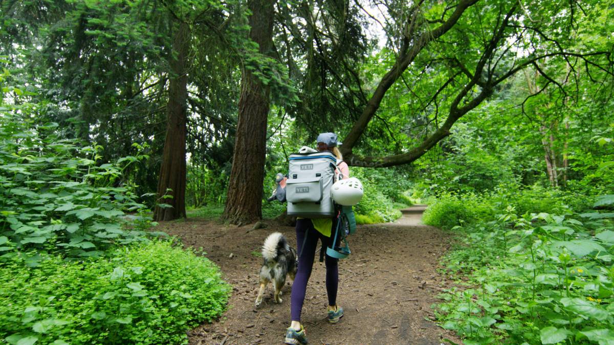 Rock Oddity: Climbing Portland’s Inner-City Butte | GearJunkie