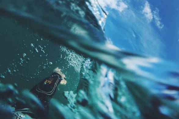 Open-Water Training: How to Safely Swim Outside | GearJunkie