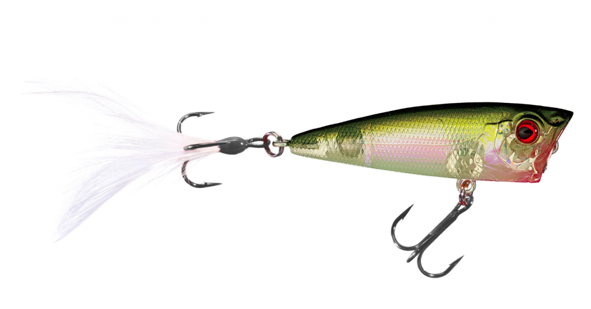 Beating the Banks: Best Topwater Bass Fishing Lures and Secrets ...