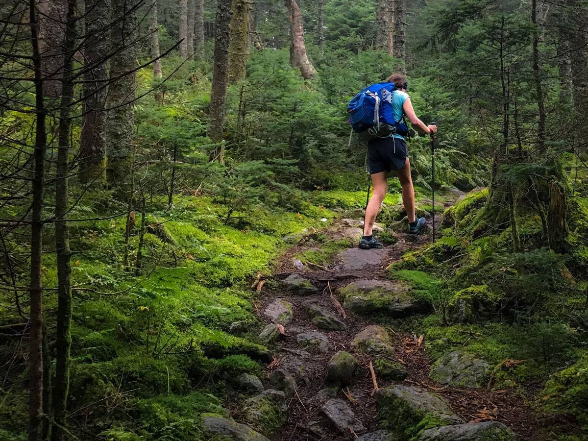 Wet Weekend on the Long Trail: Our 'Find Your FKT' Winner Trip Report ...