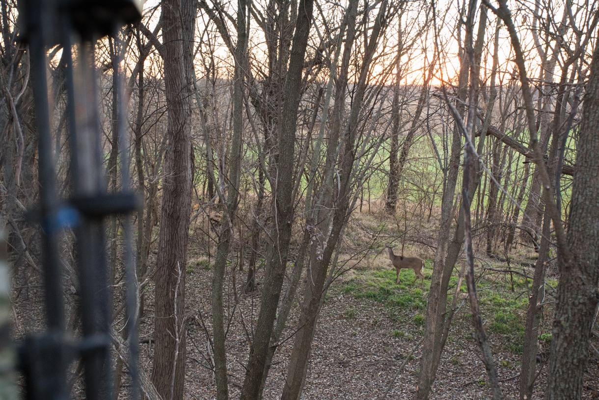 Morgan Mason, Author at GearJunkie