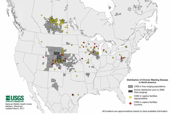 American Micropredator: What Is Chronic Wasting Disease? | GearJunkie