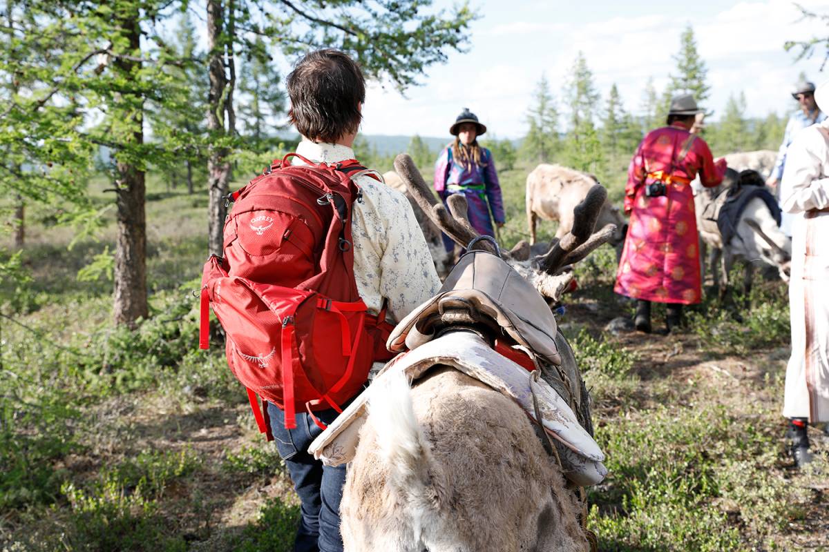 The Last Reindeer Riders: Expedition to the Tsaatan of the Taiga ...