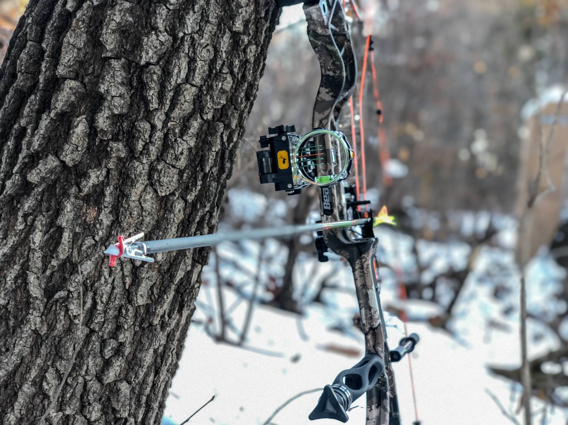 Bear Archery Divergent Compound: 2019's Big-Performance, Low-Price Bow ...