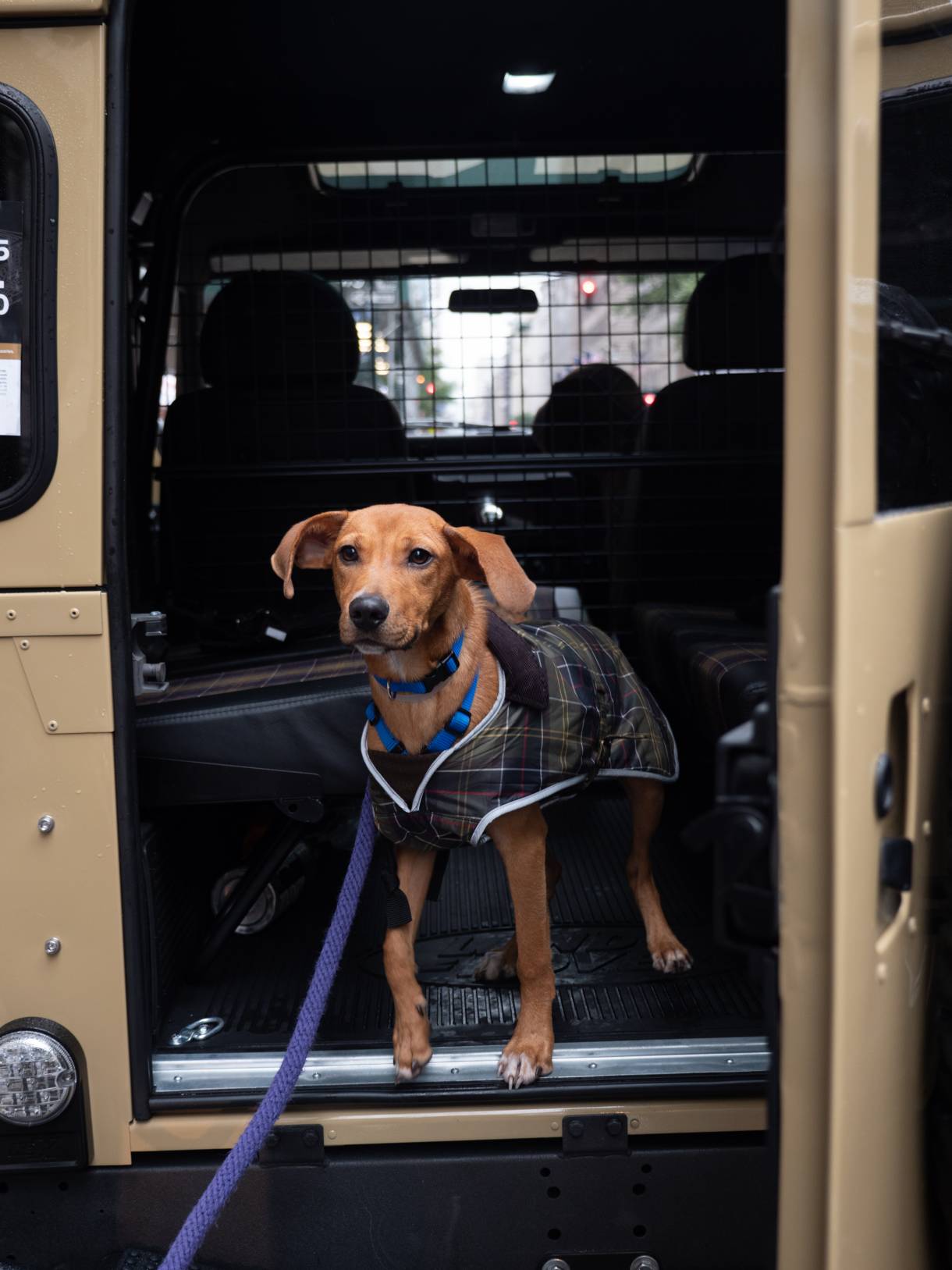 Win This $130,000 Land Rover Defender 90 | GearJunkie