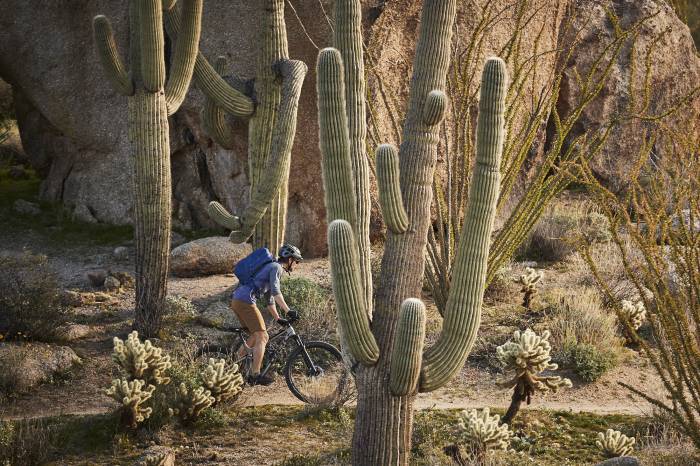 New Journey: Hydro Flask Launches Its 1st Hydration Backpack for Bikers ...