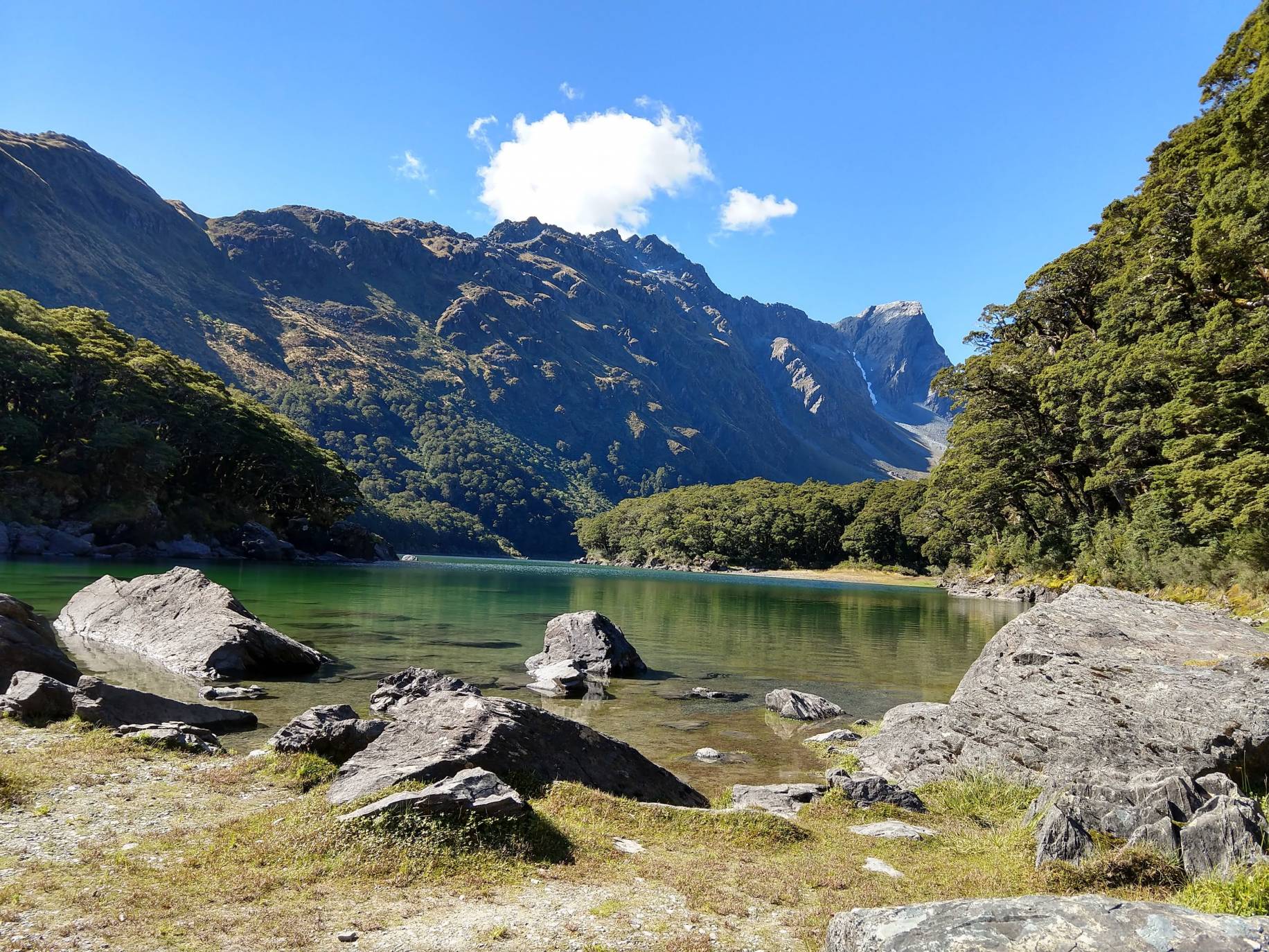 New Zealand’s Routeburn Track: Tips & Gear to Run It in a Day | GearJunkie
