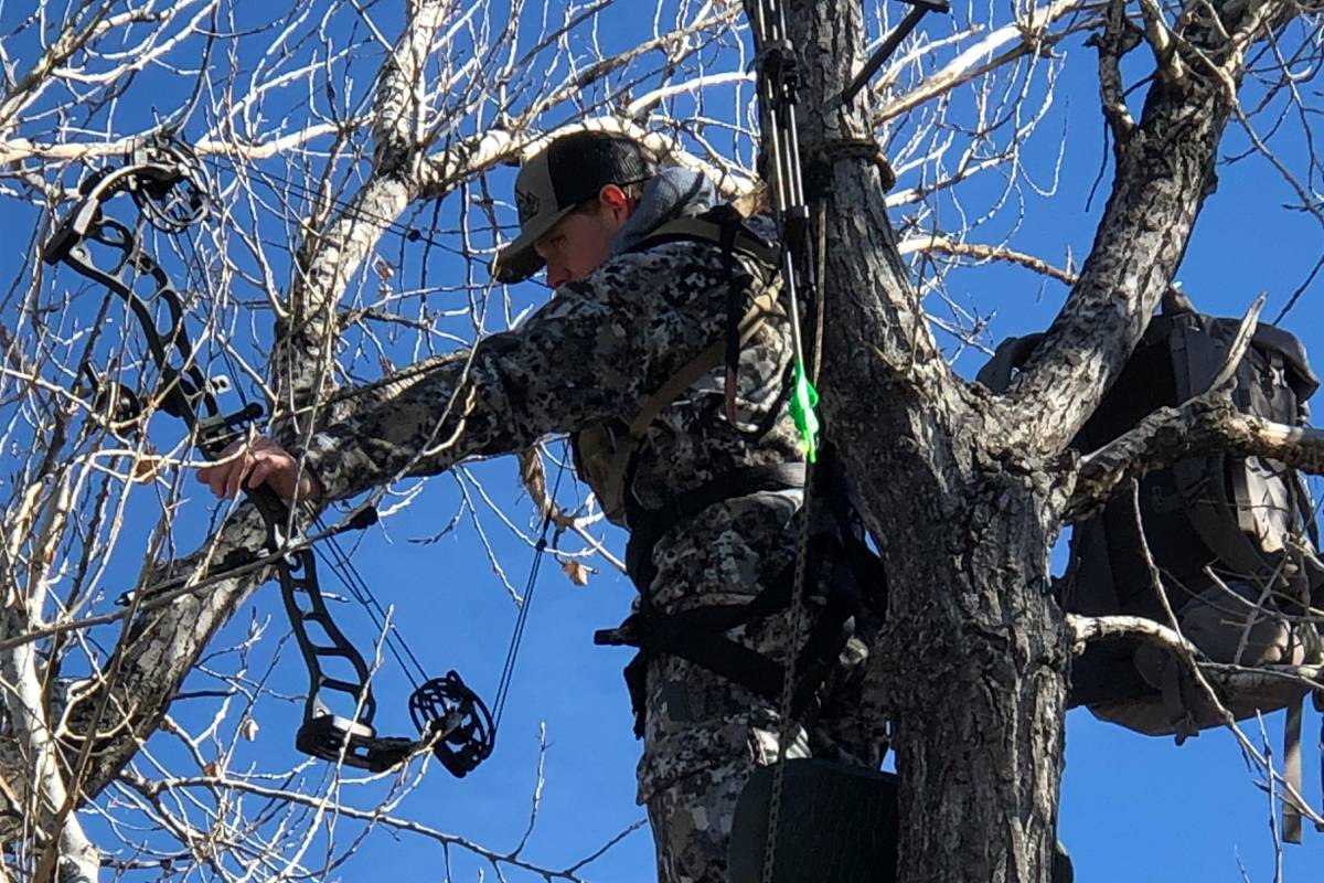 Prime Logic CT5 Compound Bow Review: Podium Placement Accuracy | GearJunkie