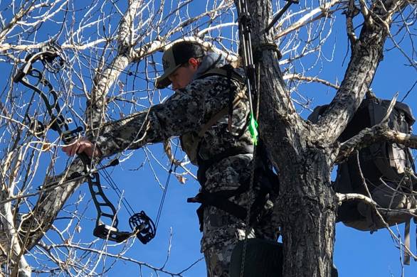 Prime Logic CT5 Compound Bow Review: Podium Placement Accuracy | GearJunkie