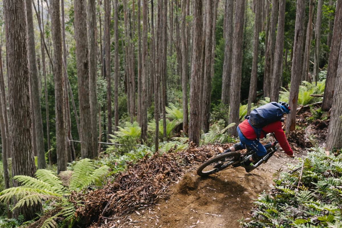 MTB Pro Picks: Best Mountain Bike Accessories for 2019 | GearJunkie