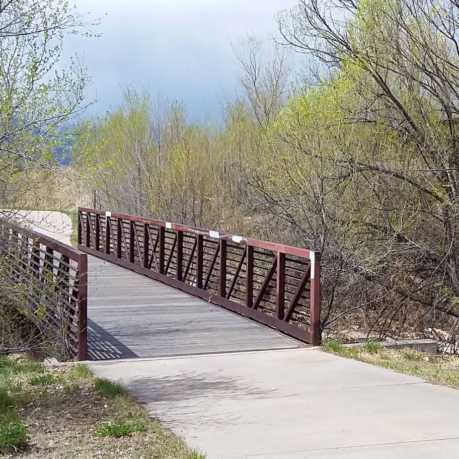 Barbed Wire Booby Trap: Cyclist Finds Nasty Surprise on CA Trail ...